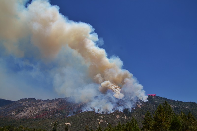 Willow Fire Pushes South | Sierra News Online