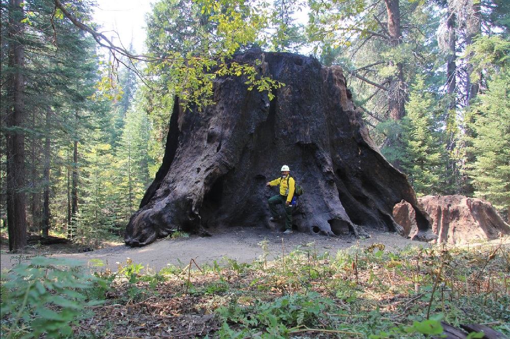 Smoke Blankets Central Sierra From 60,000 Acre Rough Fire | Sierra News ...