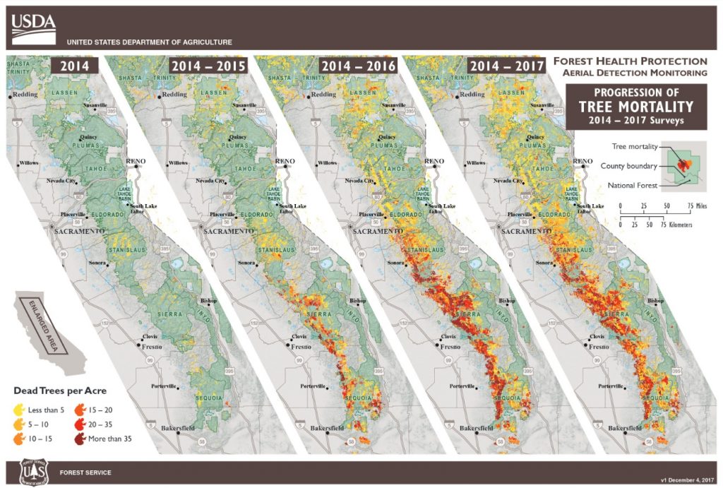 Tree mortality progression map 2014-2017 | Sierra News Online