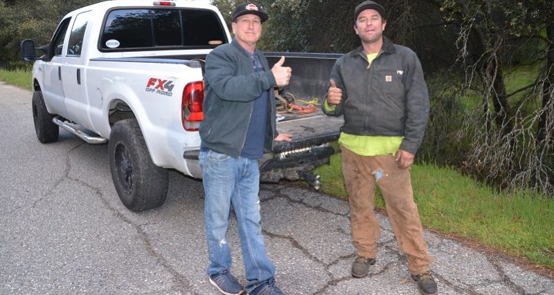 Cat Benatar Goes Up A Tree, Local Heroes Get Her Down | Sierra News Online