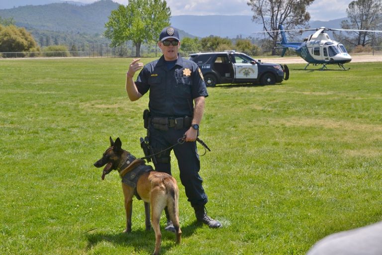 CHP Officer Matt Fowles and K9 Pakito – photo Gina Clugston | Sierra ...
