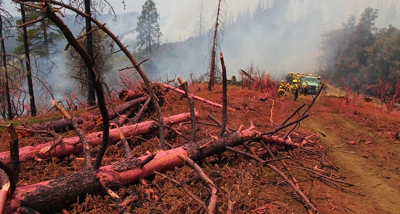 Ferguson Fire Over 54,000 Acres, Firefighter Killed In The Line Of Duty ...