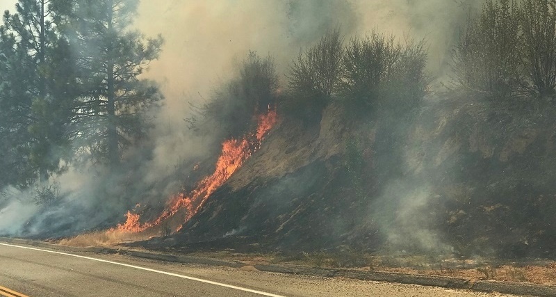 Cal Fire Releases Cause Of The Fork Fire In North Fork | Sierra News Online