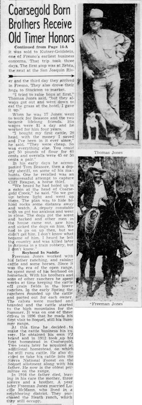 Wildflowers and History Along Beasore Road | Sierra News Online