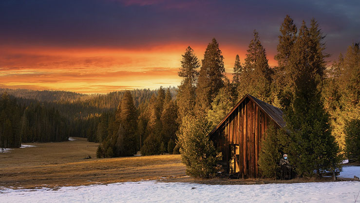 The 6th Annual Soquel Meadow Ranch Christmas Tree Event