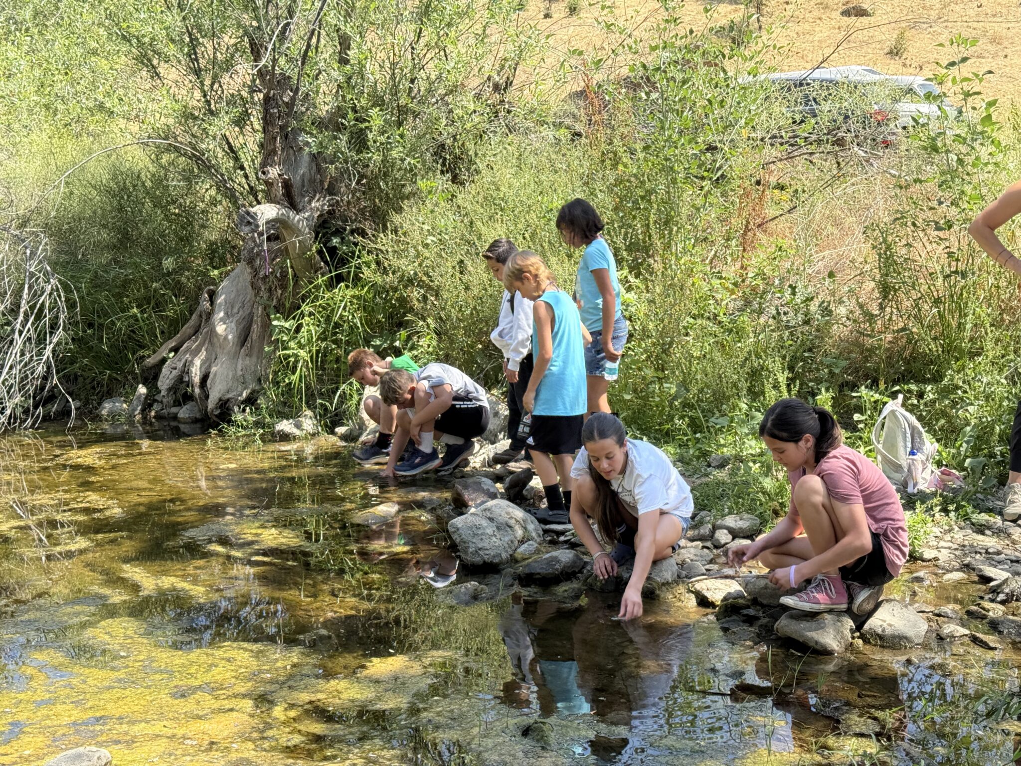 Spring Break Day Camp | Sierra News Online