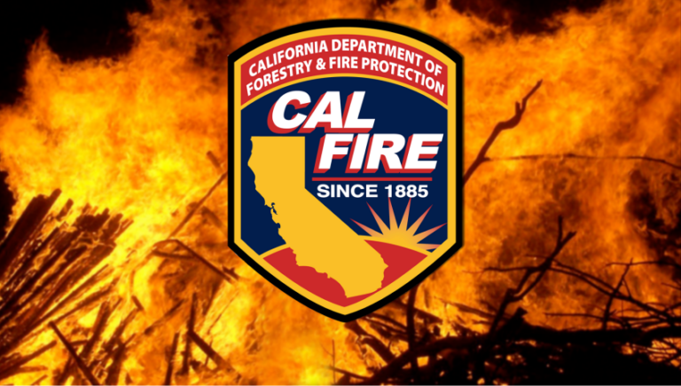 CAL FIRE Supports Science with Forest Health Research Grants