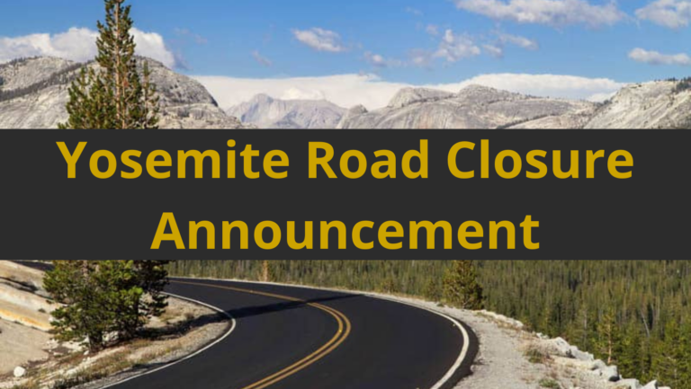 Snow Forecast Forces Temporary Closure of Tioga Road Tonight