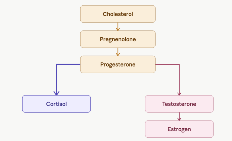 steroid hormone path | Sierra News Online